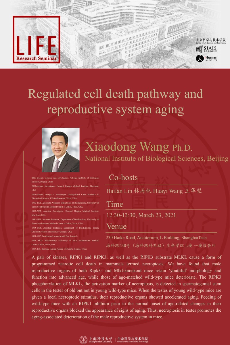 Regulated cell death pathway and reproductive system aging